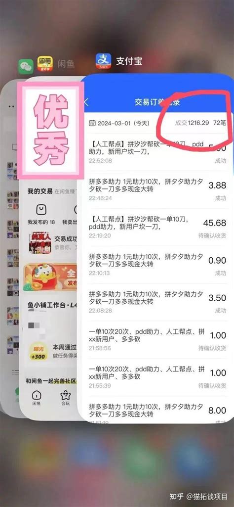 闲鱼助力项目在咸鱼做拼多多小红书助力虚拟服务 知乎
