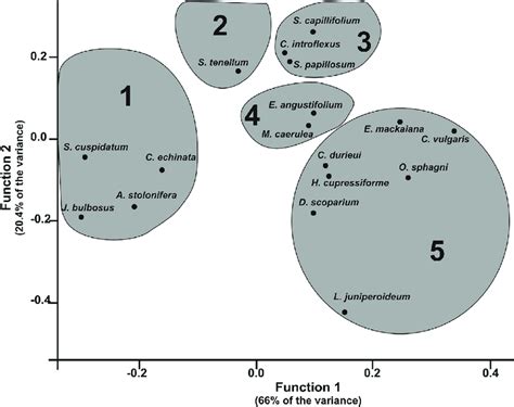 Plot Of Discriminant Scores Dfa For Function 1 Versus Function 2