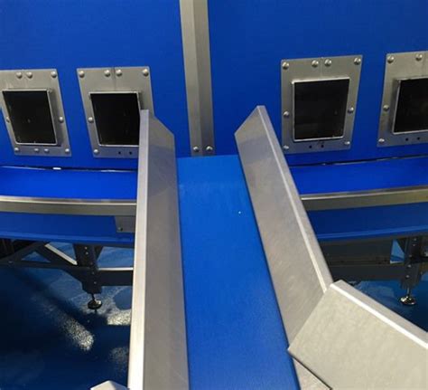 Chicken Conveyor Innovatec Hatchery Automation Belt