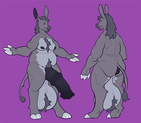Rule 34 Animal Genitalia Animal Penis Anthro Anus Asinus David