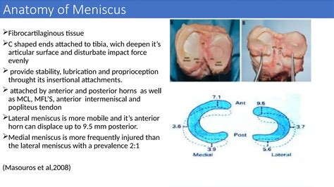 Meniscus Role Treatment Dr Haki Selajpptx Death Injury Or