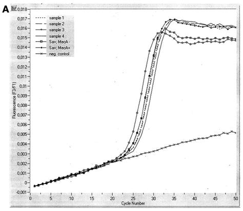 Detection Of Methicillin Resistant Staphylococcus Aureus And Simultaneous Confirmation By