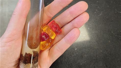 რაკეტა სინჯარაში Youtube