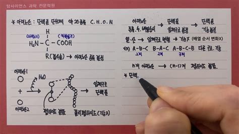 아미노산과 단백질의 형성 Youtube