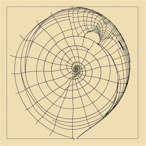 Stylish Tattoo Sketch Of A Fibonacci Pattern In A Trendy Flat Design