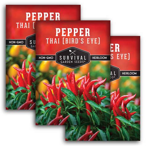 Thai Chili Pepper Seeds Birds Eye Thai Chili Survivalgardenseeds