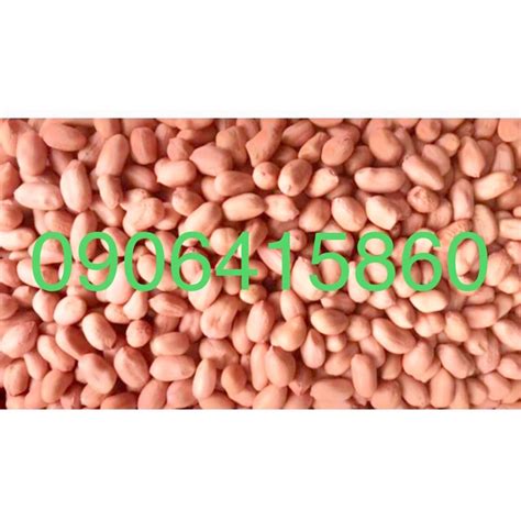 ĐẬU PHỘNG NHÀ CHỊ DÂU EM TRỒNG TẠI CÁT TIẾN PHÙ CÁT BÌNH ĐỊNH ĐẬU PHỘNG LẠC HẠT TO ĐỀU