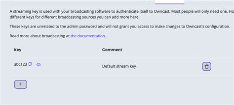Stream Key Not Passed On From Command Line To Webinterface · Issue