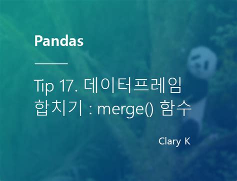파이썬 판다스pandas 팁17 데이터프레임 합치기 Merge 함수 네이버 블로그