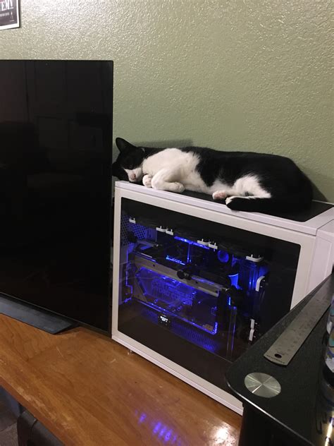 Water Temps Spiking Help R Watercooling