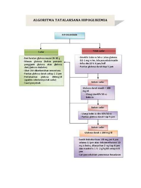 Algoritma Hipotensi Pdf