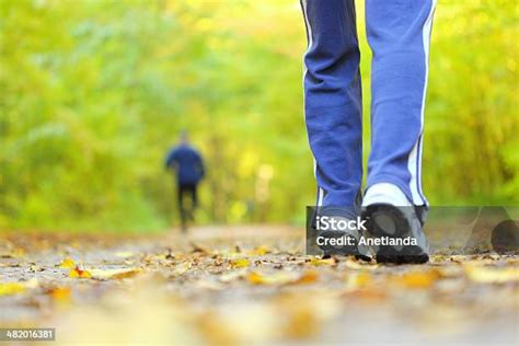 여자 걷기 크로스 컨트리 트레일에서 베스키드 산의 가을 숲 가을에 대한 스톡 사진 및 기타 이미지 가을 갈색 건조한 Istock