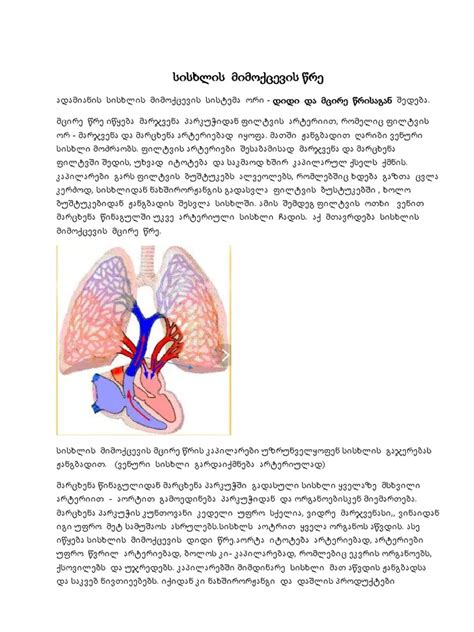 სისხლის მიმოქცევის წრეებიდიდი მცირე Pdf