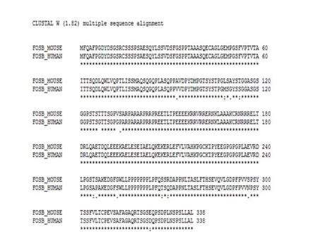 Sequence File Formats Ppt