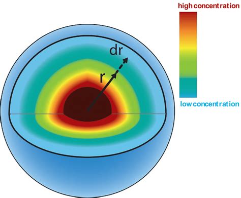 A Diagram Illustrating The Dissolution Of A Drug Particle In 3d Space