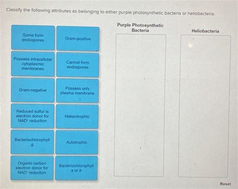 Solved Classify The Following Attributes As Belonging To
