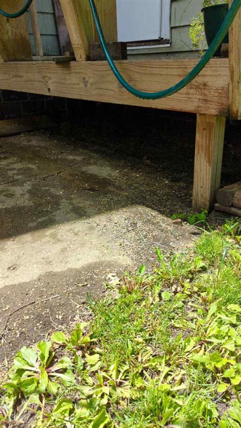 Cutter Backyard Bug Control Hubpages