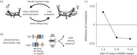 Performance Of A Simple Averaging Model Compared To Male Behaviour A Download Scientific