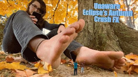 Unaware Eclipses Autumn Crush Fx Hd 1080p Version Canadian And