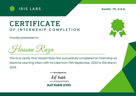 Hassan Raza Chaudhary On Linkedin Machinelearning Internship