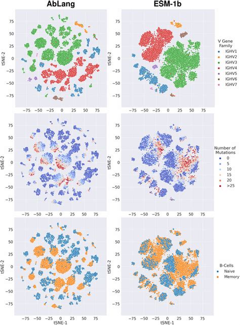 Comparison Of Ablang And Esm 1b Representations At Clustering Sequences Download Scientific