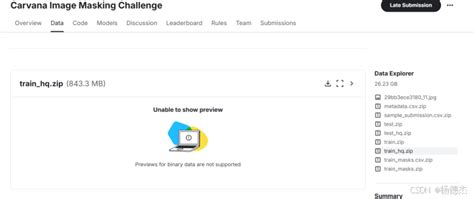 U Net卷积神经网络 Csdn博客