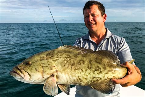 Types Of Grouper In Florida A Short Guide For 2025