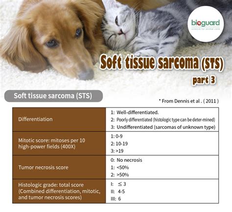 Sts Soft Tissue Sarcoma Grading Bioguard Corporation Posted On The Topic Linkedin