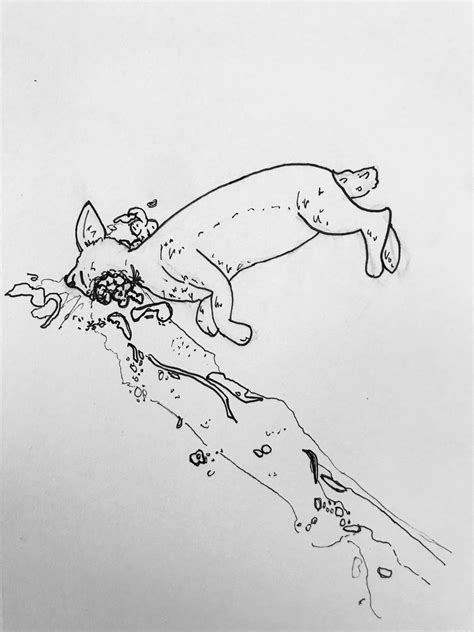 Dead Cat Drawing