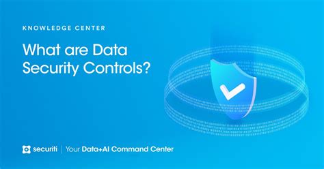 what are data security controls and its types securiti