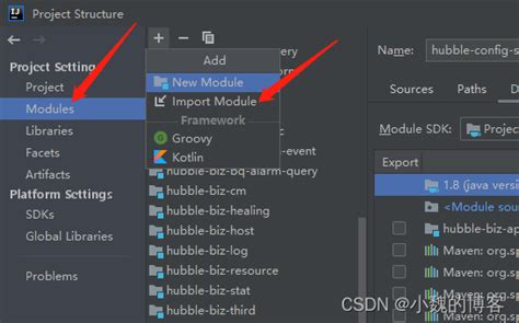 总结：idea导入新的module Idea 添加module Csdn博客