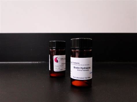 Biotin Hydrazide Cas No 66640 86 6 Biotinylation Reagent Available