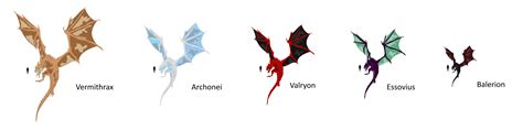 Dragons In Different Years In My Dragons Never Died Out Au Compared To A Common Man Tell Me