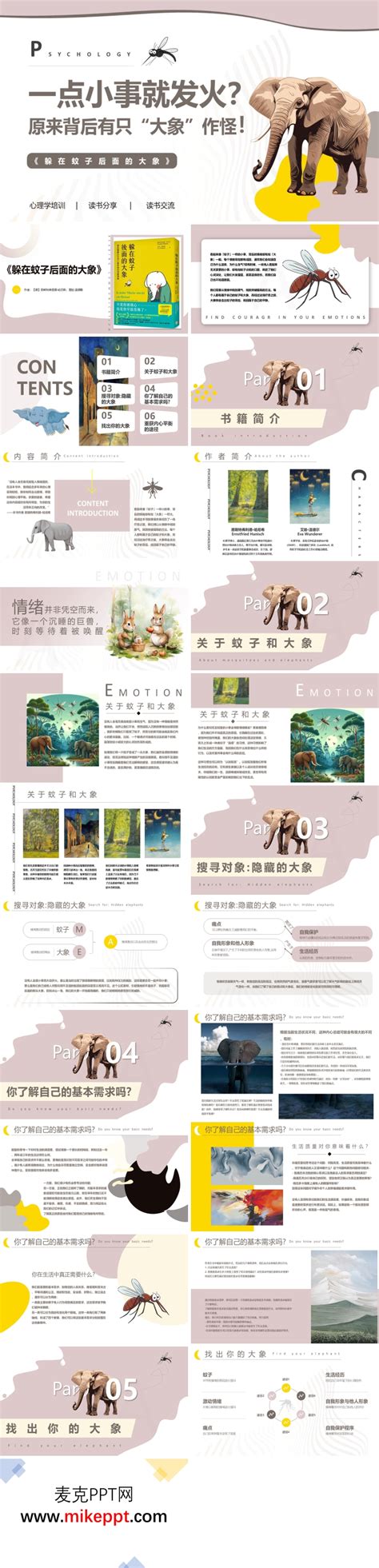 《躲在蚊子后面的大象》ppt课件读书分享含讲稿 麦克ppt网