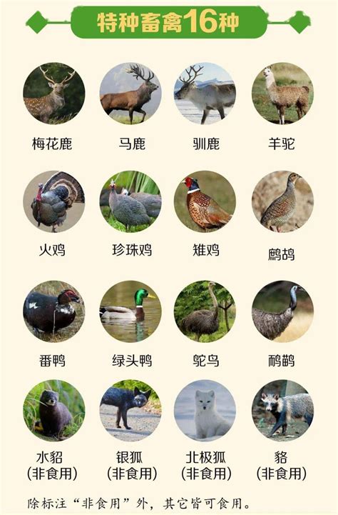 现在哪些动物可以吃不能吃的在养野生动物该咋办权威解答来了 目录