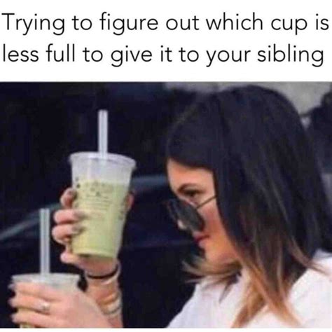 50 Hilarious Sibling Memes From Fights To Fun