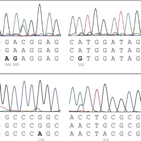 Summary Of Hla Typing Results Using Different Samples And Methods Download Table