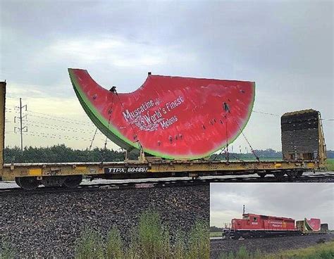 Worlds Largest Watermelon Slice Cp 6025 Leads The World Flickr