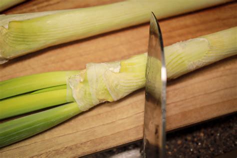 대파 손질하는법 대파 다듬기 채소 대파보관법 대파손질 및 보관법 파다듬기 대파 손질하는법 대파 다듬기 채소 대파보관법 대파손질 및 보관법 파다듬기