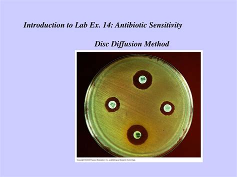 Ppt Introduction To Lab Ex 14 Antibiotic Sensitivity Disc Diffusion Method Powerpoint