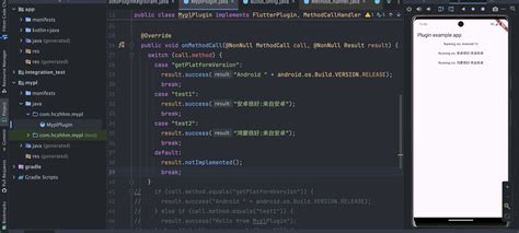 Flutter 插件开发 原生插件开发 Plugin Packages Hczhhm 博客园