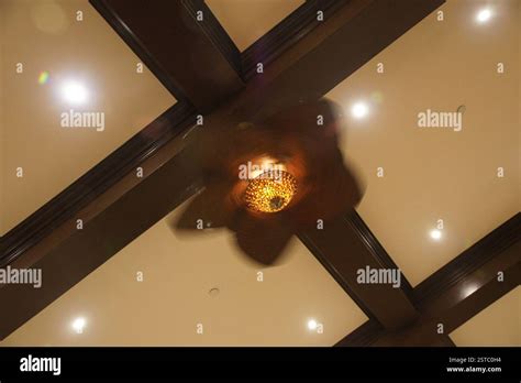 Floral Ceiling Fan Miami Decorative Light Fixture With Cooling