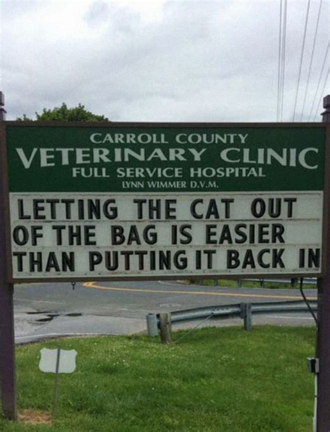30 Of The Funniest Cat Jokes Vet Clinics Put Up On Their Signs Bored
