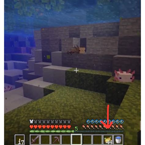 Do Axolotls Eat Pufferfish Minecraft MudFooted