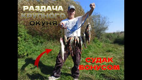 РЫБАЛКА НА БЕСПЛАТНОМ ВОДОЁМЕ, И СНОВА СУДАТ РАДУЕТ ПОКЛЁВКАМИ - YouTube