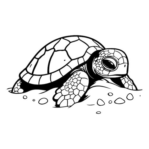 바탕에 고립된 거북이 터 일러스트레이션 귀여운 만화 거북이 프리미엄 벡터