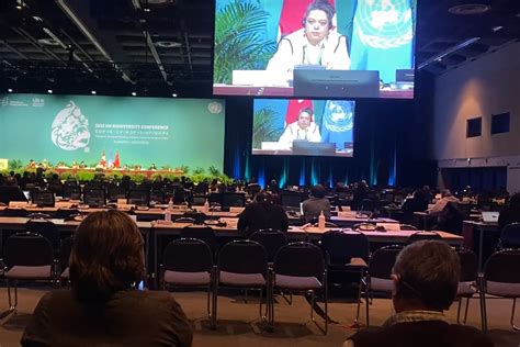 Un Convention On Biological Diversity Cop 15 Presentation Sn Initiative