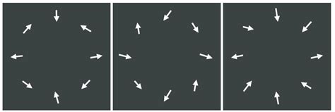 Scientists Discover Exotic New Patterns Of Synchronization Science Technology Sott Net