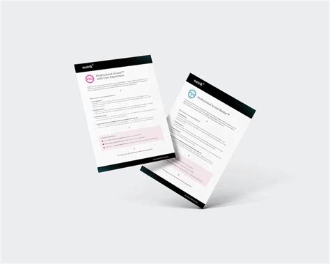 Professional Scrum Master™ The Scrum Framework Meirik