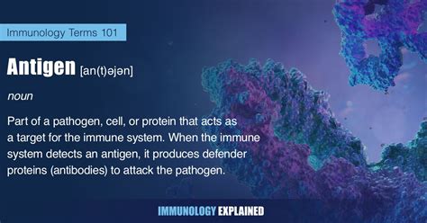 The American Association Of Immunologists On Linkedin Immunologyexplained